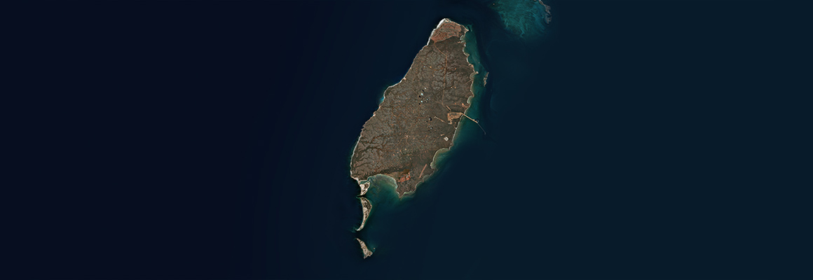 Machine Learning to Protect Barrow Island - SRA Information Technology